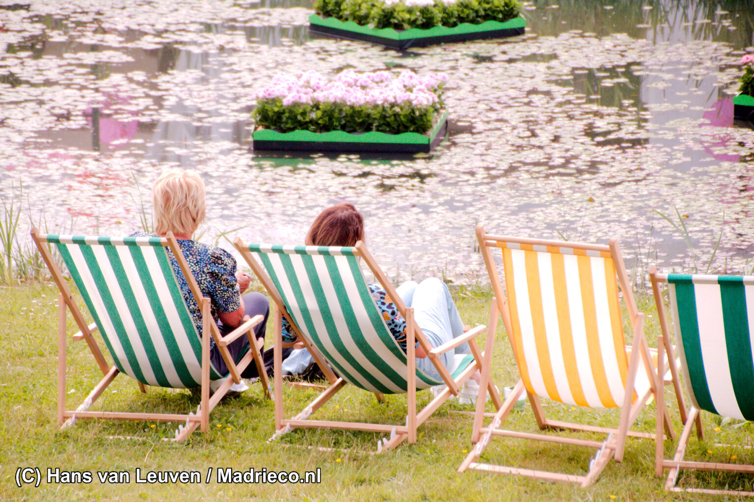 Fotoreportage Libelle Zomerweek - Haarlem updates