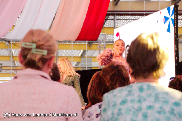 Fotoreportage Libelle Zomerweek - Haarlem updates