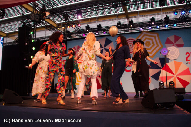 Fotoreportage Libelle Zomerweek - Haarlem updates